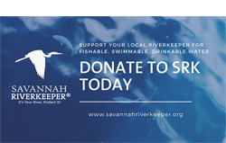 more on this campaign