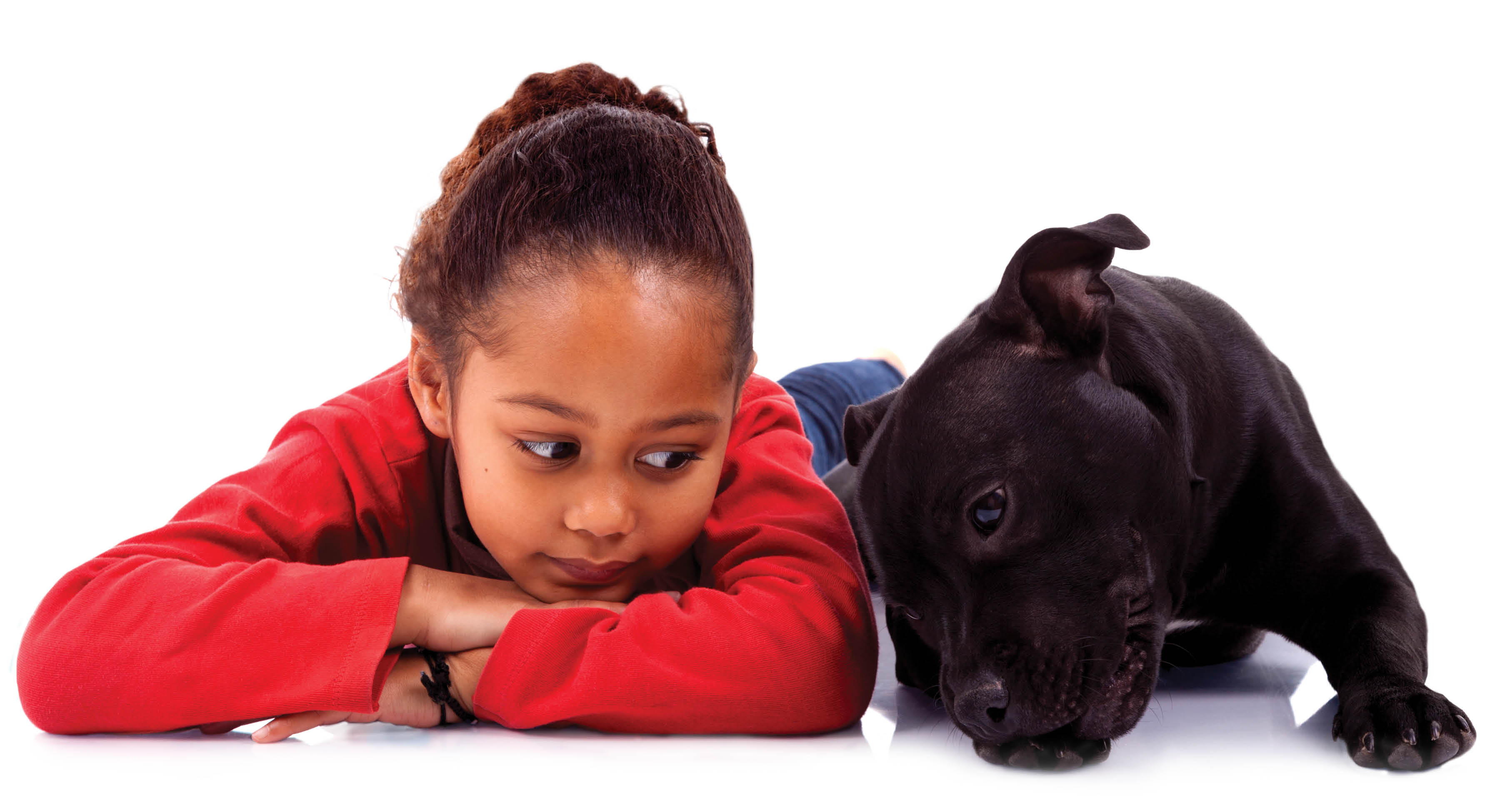 Community Pet Project Campaign